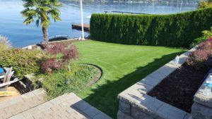 Artificial Grass Installation in Seattle & Bellevue